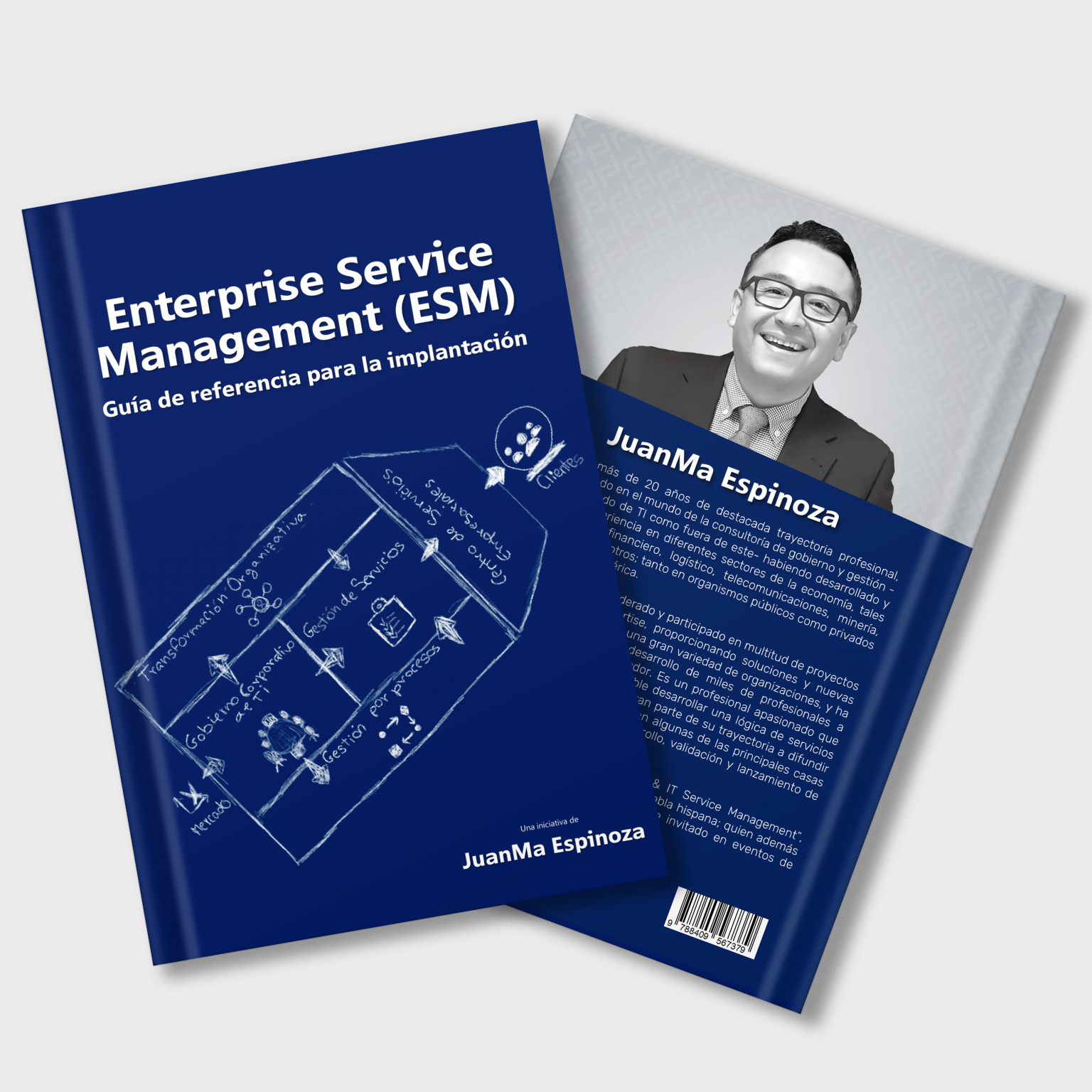 Enterprise Service Management (ESM)